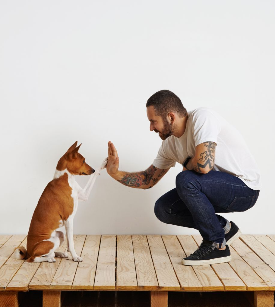 Rdv en ligne avec un toiletteur | Muzzle Pets